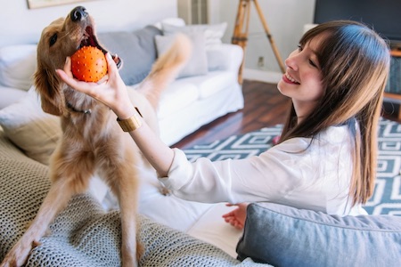 Dog Boarding with Trusted, Local Pet Sitters | DogVacay