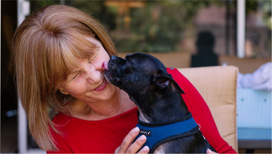 Dog Boarding with Trusted, Local Pet Sitters | DogVacay